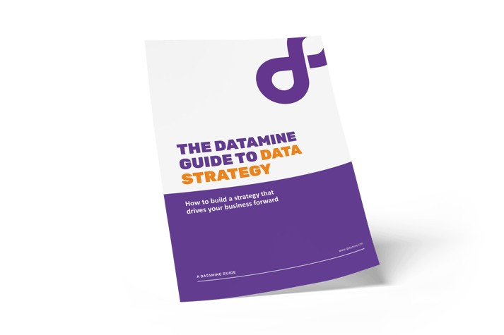 Datamine Guides - Data management, customer insights, AI and more