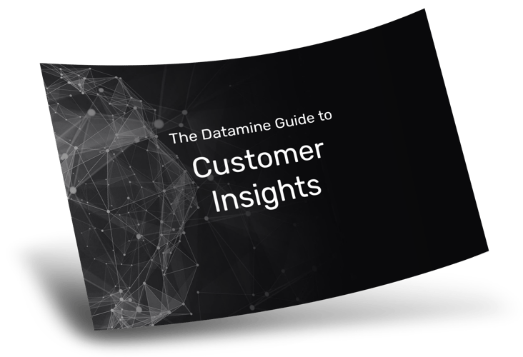 Datamine Guides - Data management, customer insights, AI and more