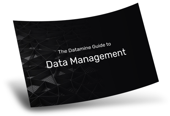 Datamine Guides - Data management, customer insights, AI and more
